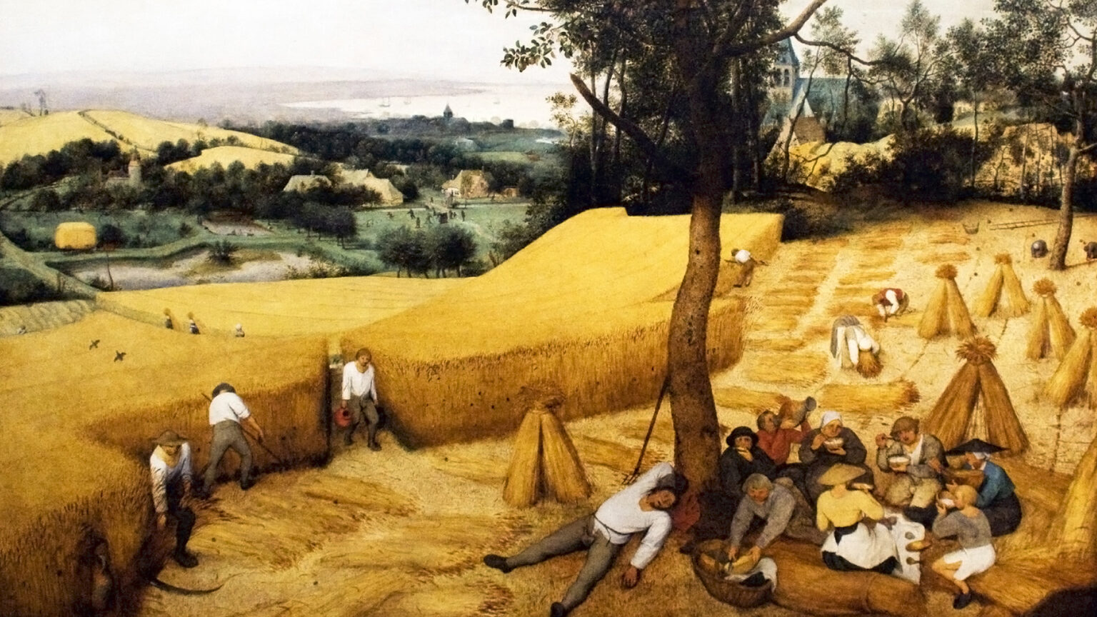 Lezing Heemkundekring over Middeleeuwen vanuit historische bronnen ...